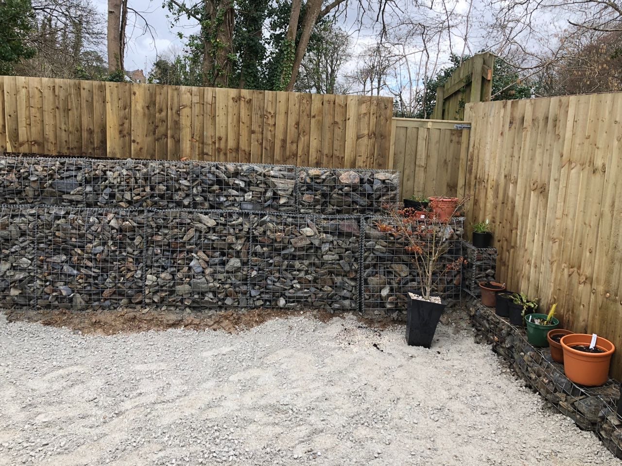Gabion Installation – Ollies Gardens