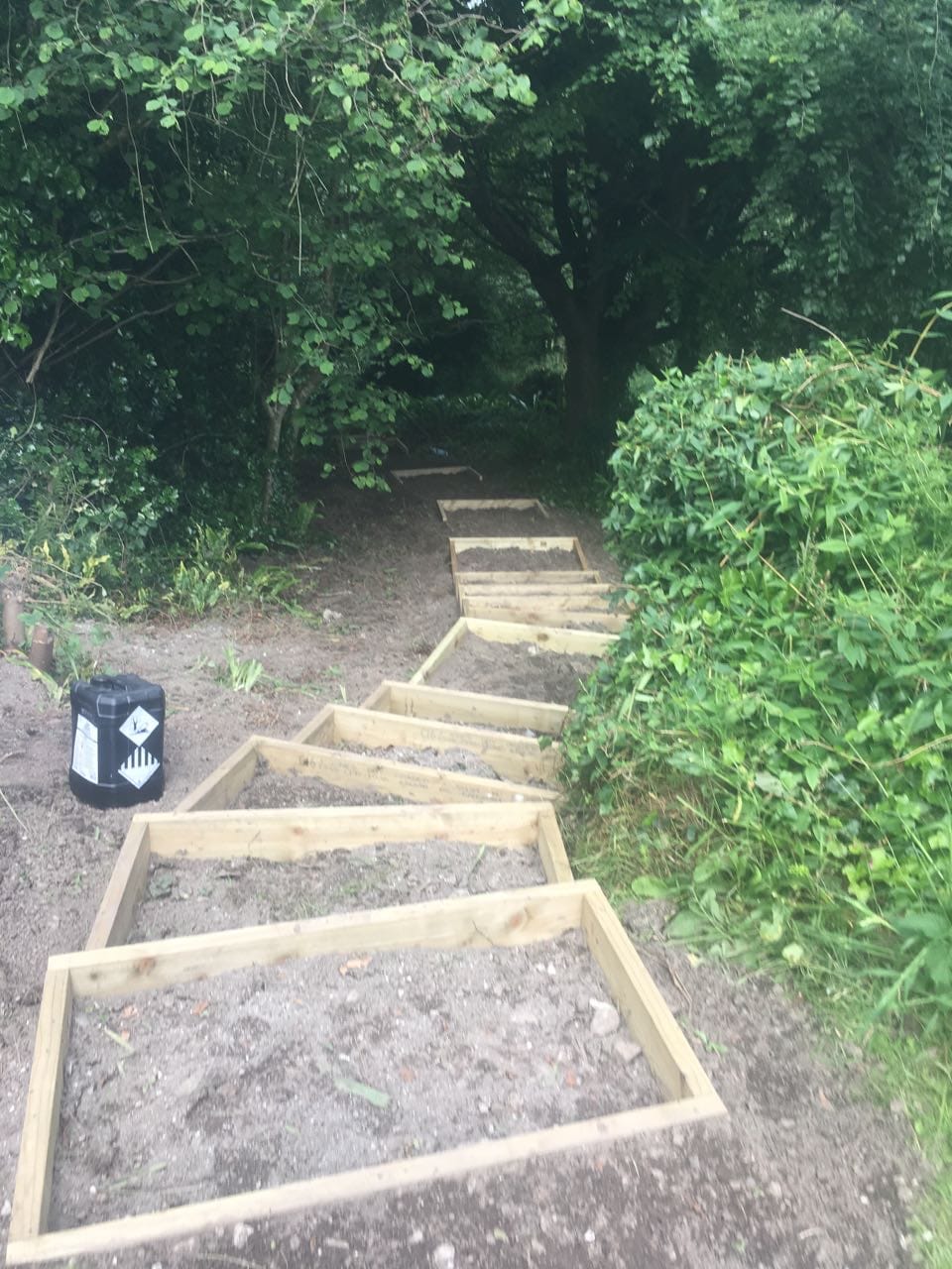 Woodland Steps – Ollies Gardens