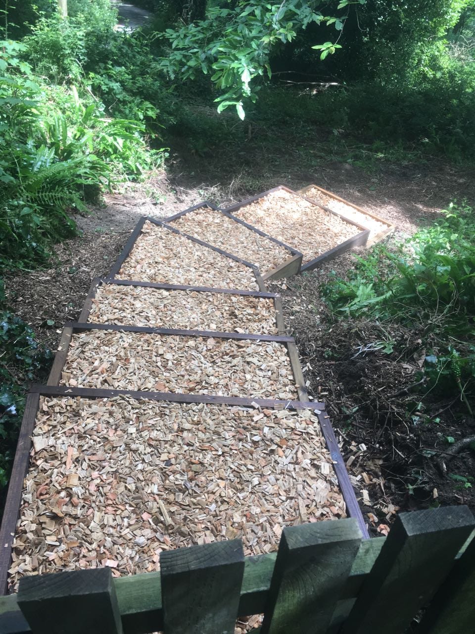 Woodland Steps – Ollies Gardens