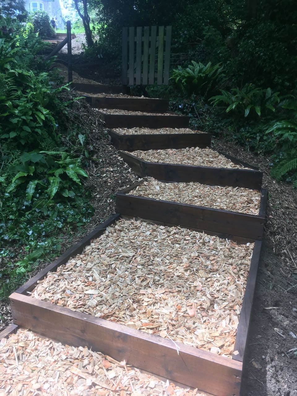 Woodland Steps – Ollies Gardens