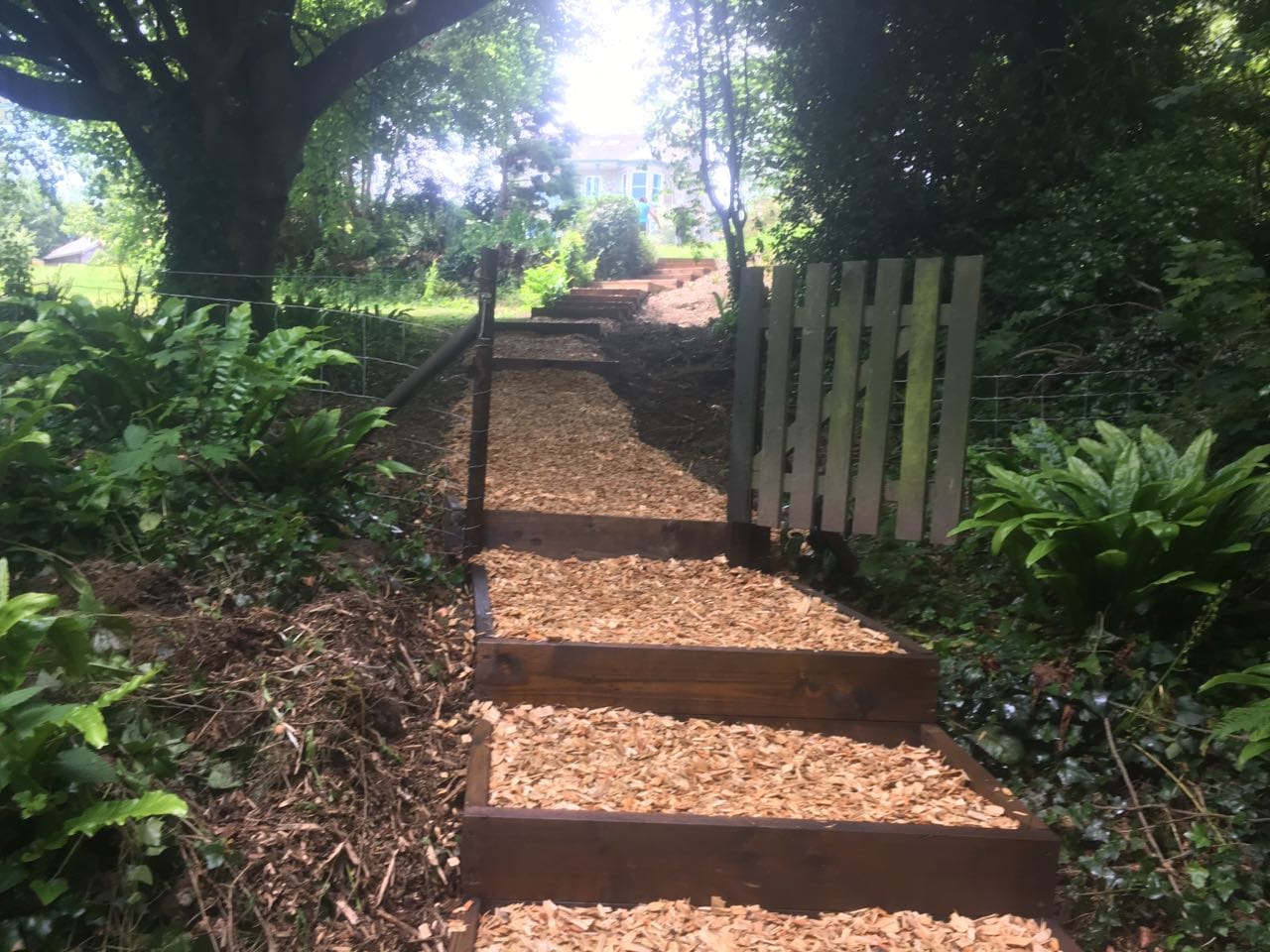 Woodland Steps – Ollies Gardens