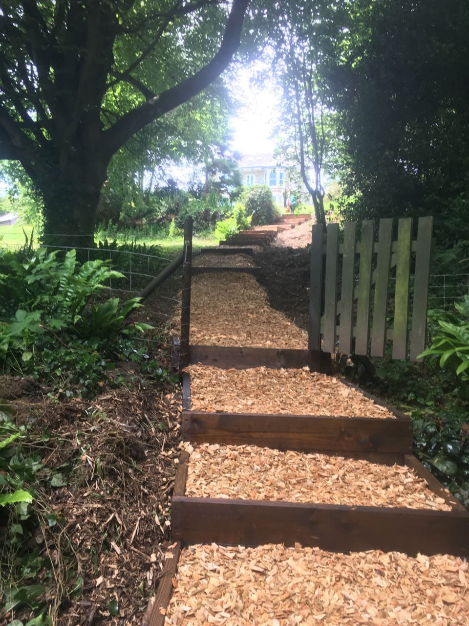 Woodland Steps – Ollies Gardens