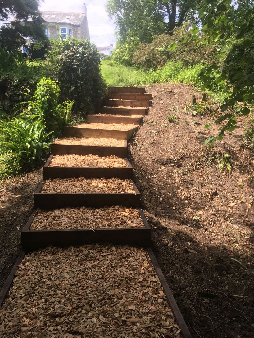 Woodland Steps – Ollies Gardens