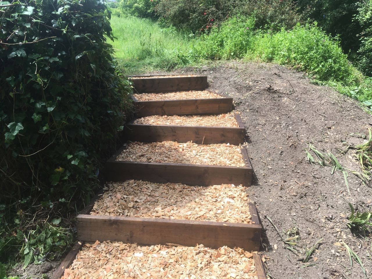 Woodland Steps – Ollies Gardens