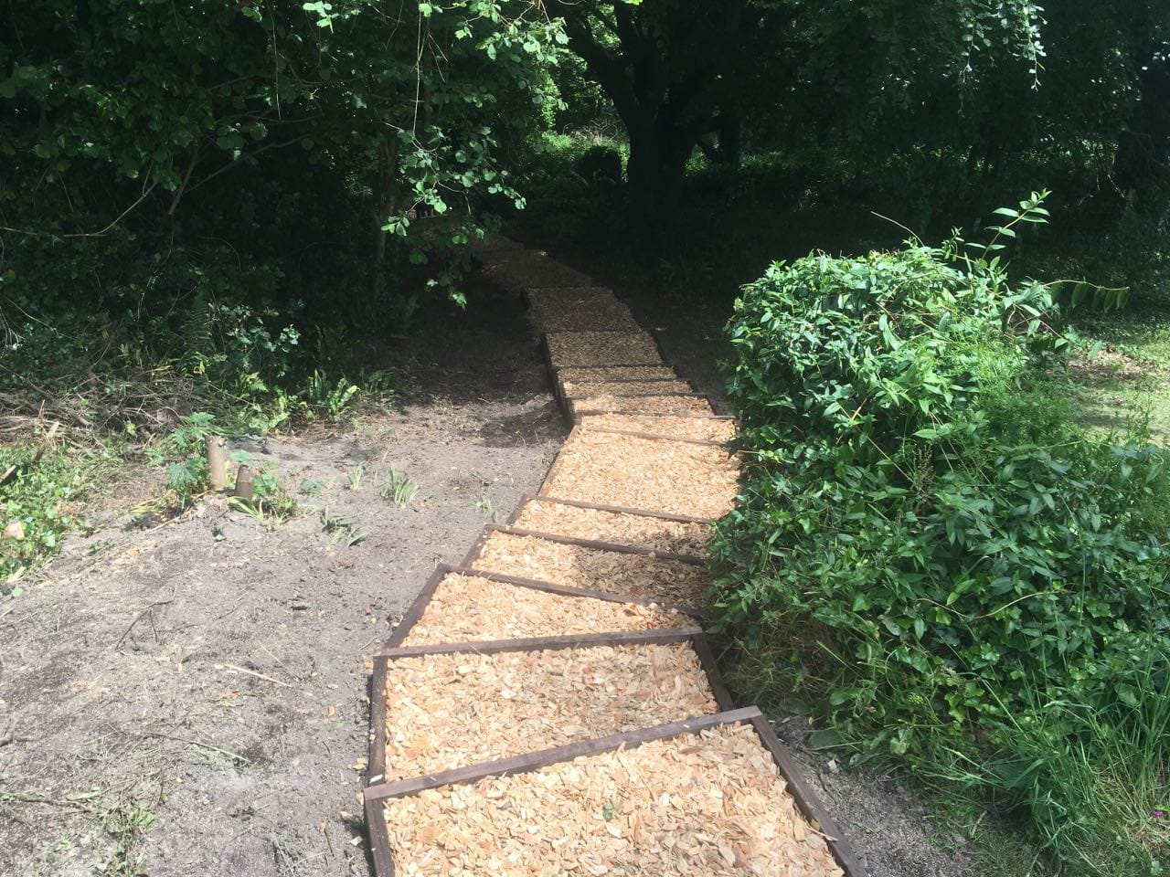 Woodland Steps – Ollies Gardens