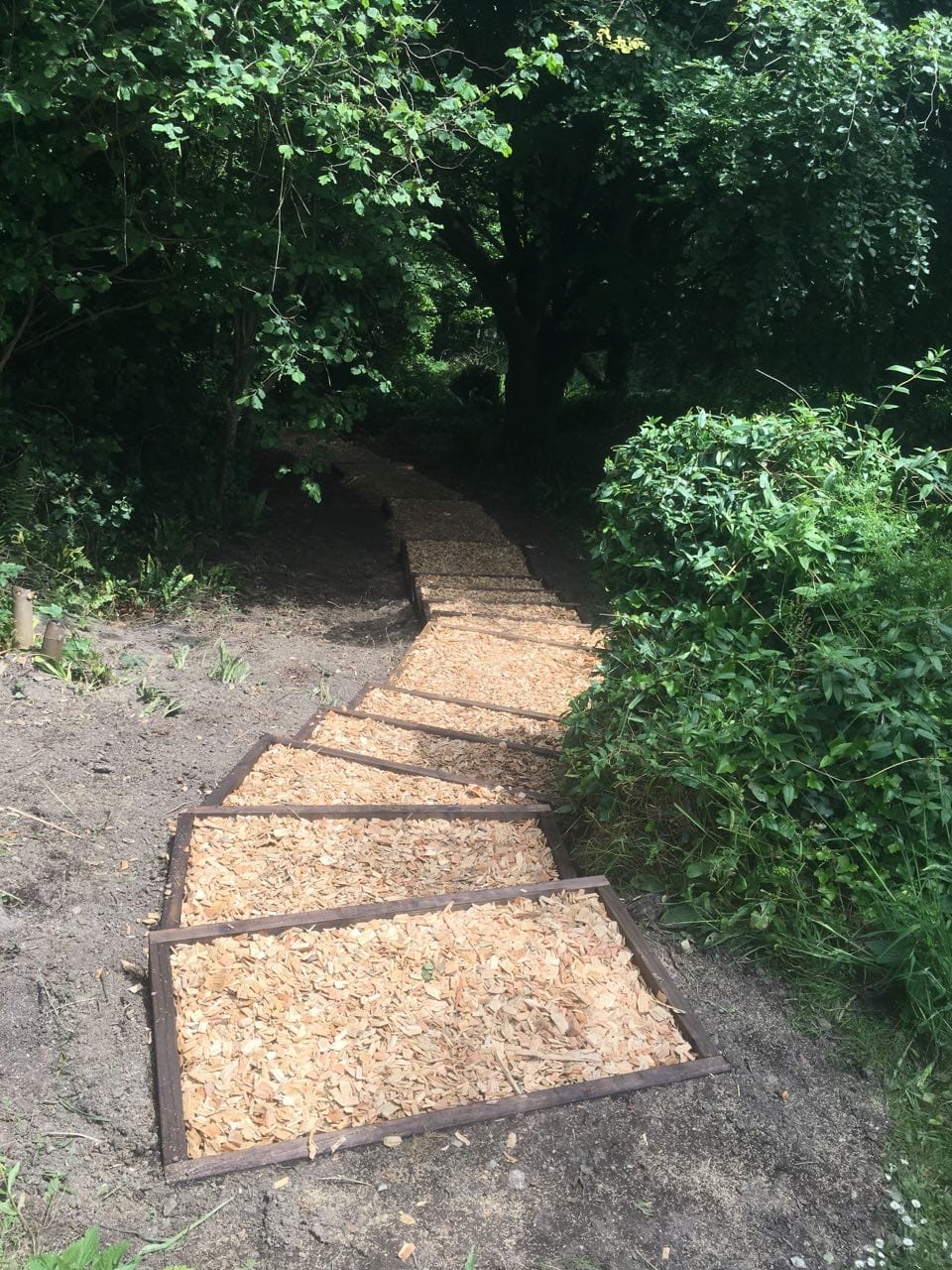 Woodland Steps – Ollies Gardens